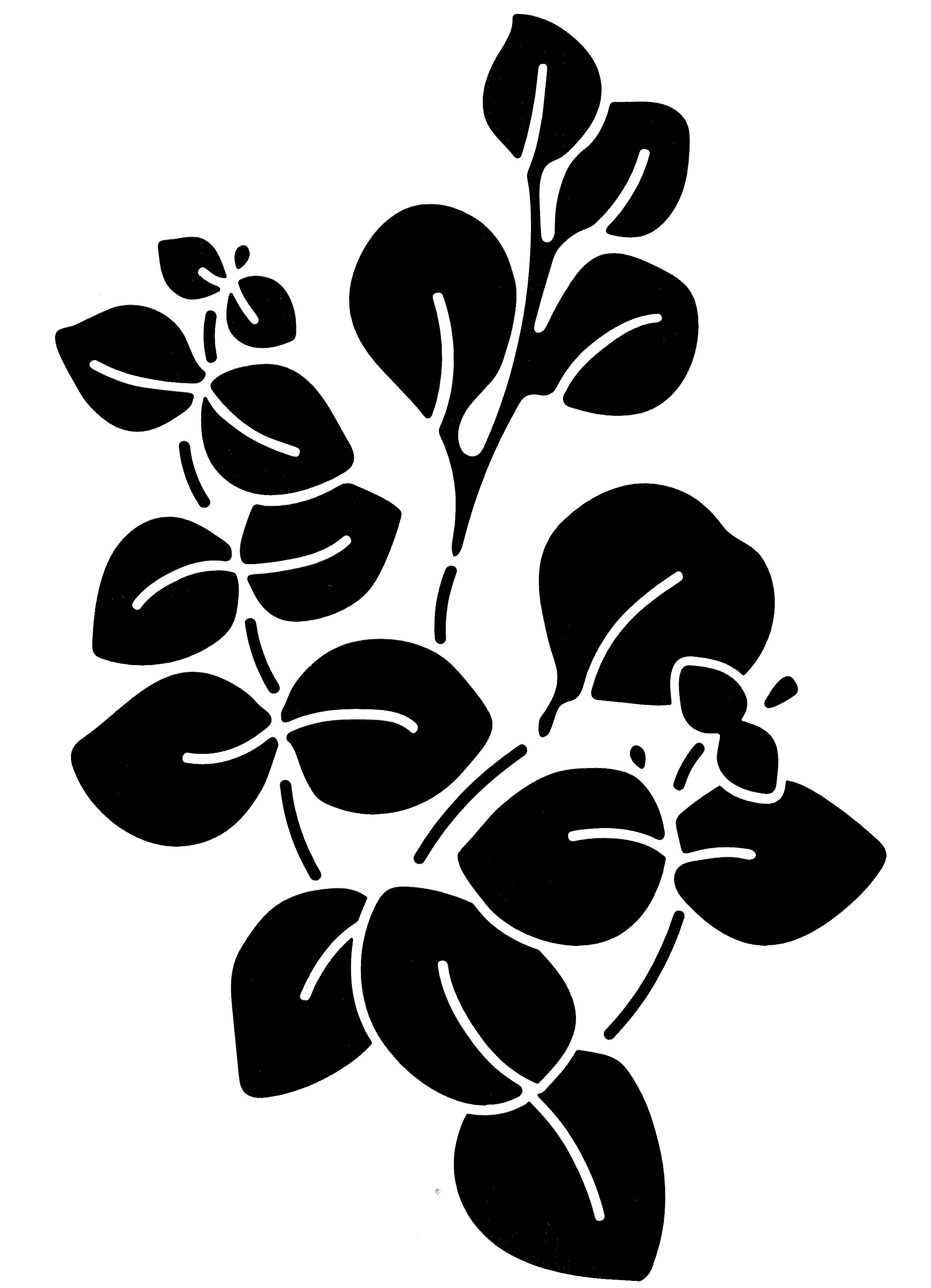 DIN A 4 Schablone Zweige mit großen Blättern - Schablonen Shop